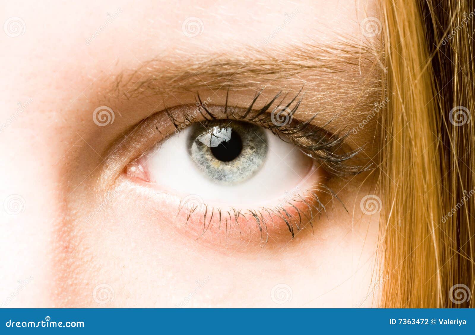 Human eye. stock photo. Image of makeup, human, glamor - 7363472