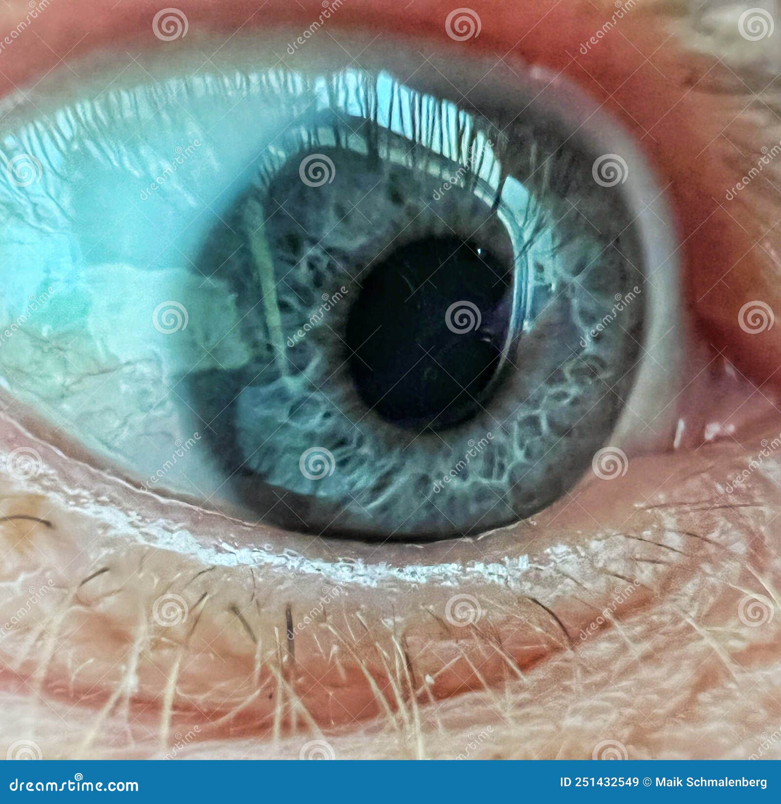 Human eye stock image. Image of human, iris, body - 251432549