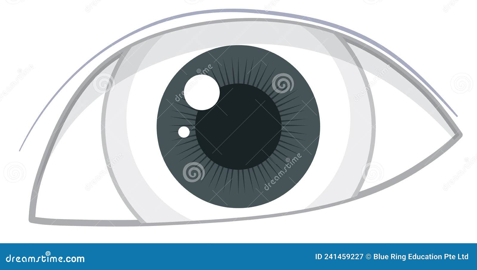 Human eye in cartoon style stock vector. Illustration of isolated ...