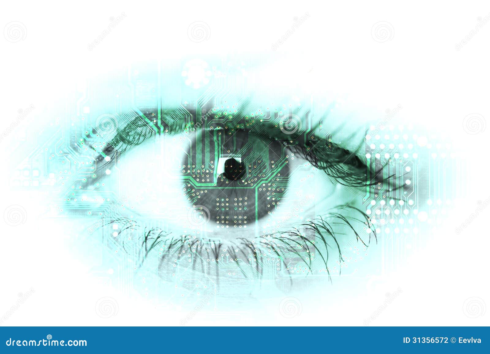Human Eye with Circuit Board. Stock Photo - Image of integrated ...