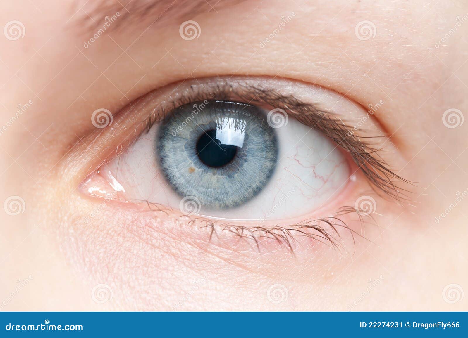 Human eye close-up stock image. Image of open, blue, iris - 22274231