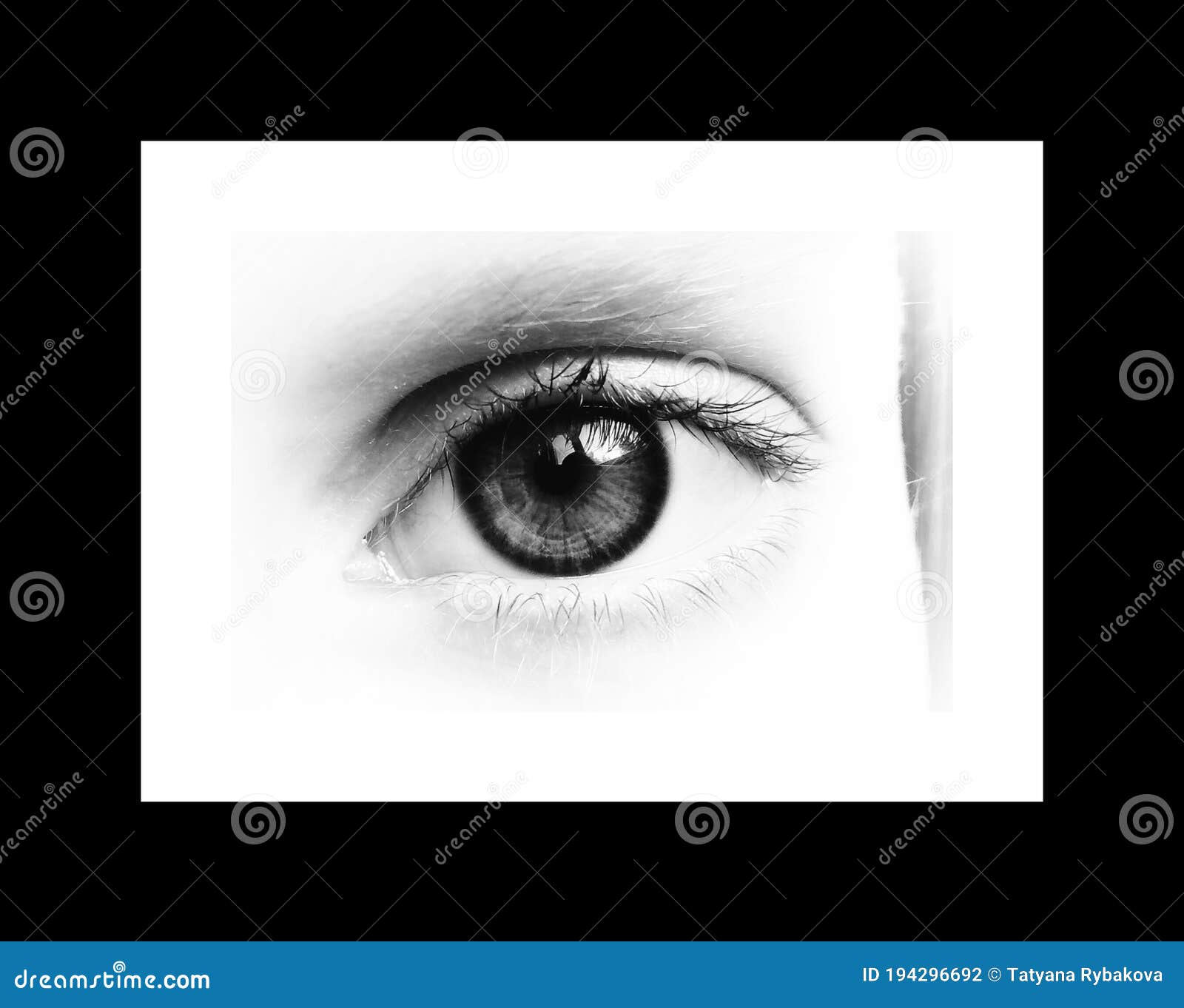 Human Eye Close Up. Black and White Stock Photo - Image of black, close ...