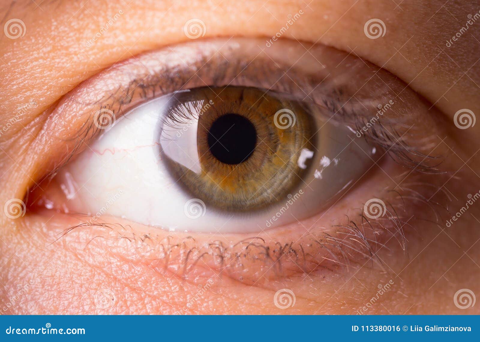 Human eye close-up stock photo. Image of close, macro - 113380016