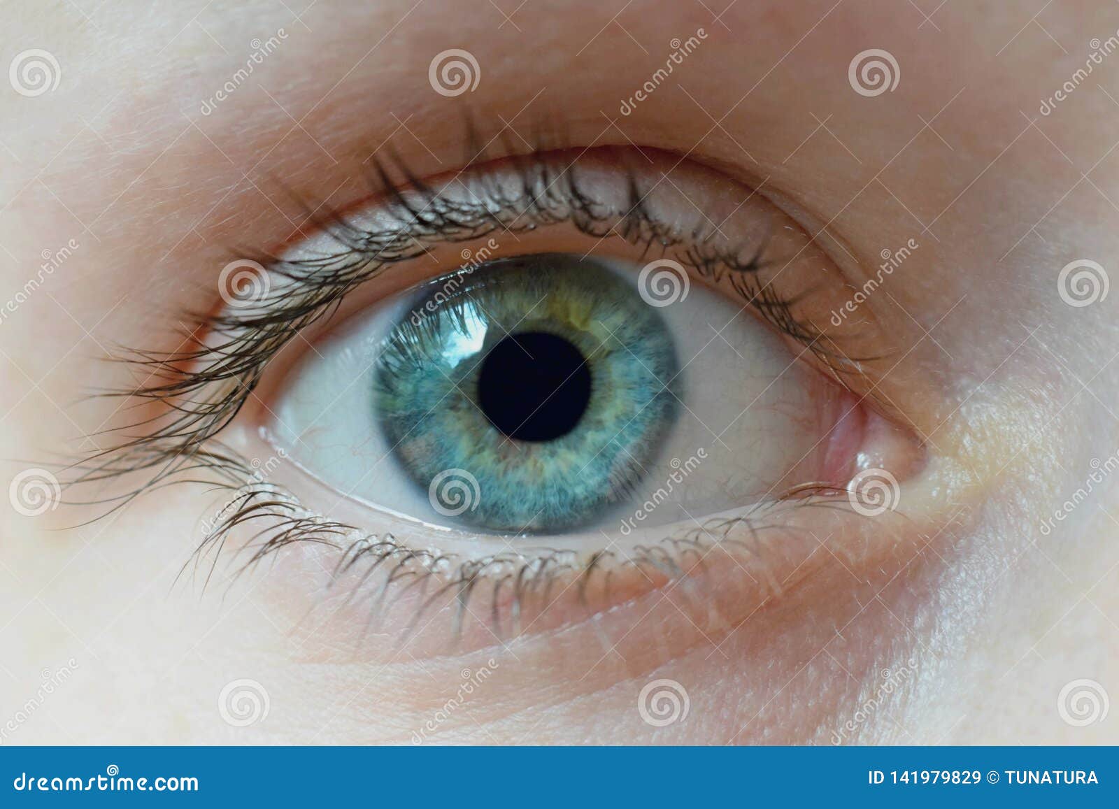 Human eye close up stock image. Image of care, macro - 141979829