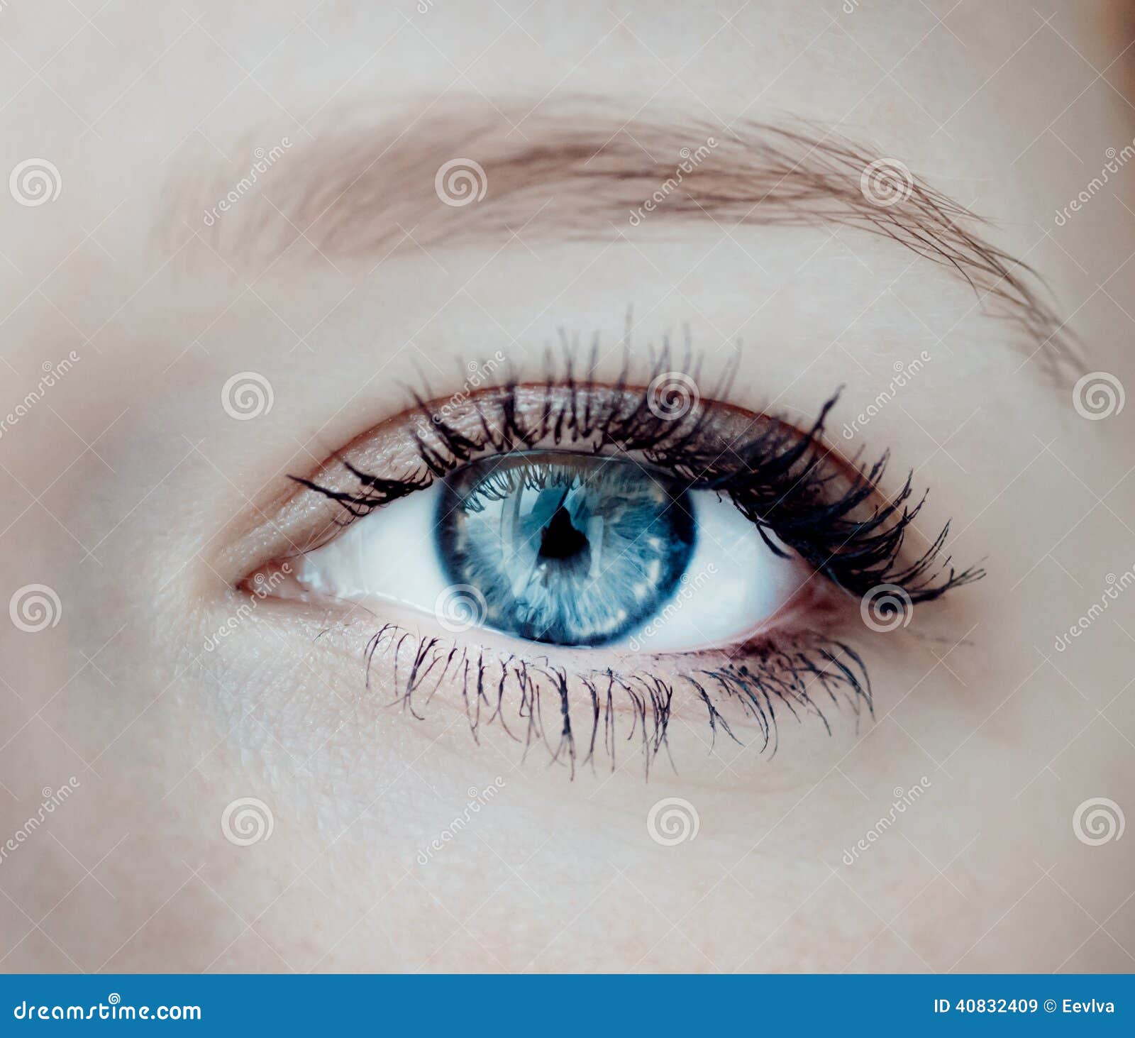 Human eye close-up. stock image. Image of color, beauty - 40832409