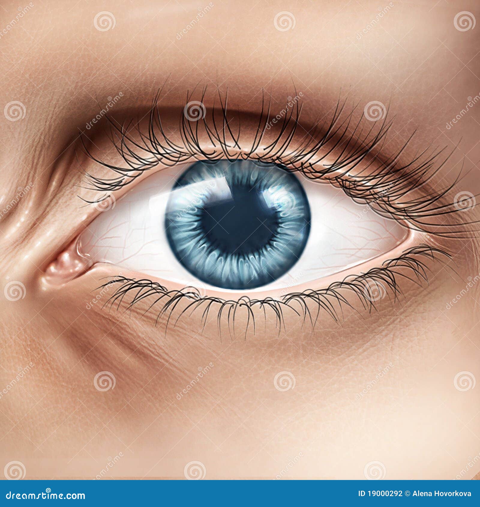 Stylized Lens Eye Stock Illustrations – 294 Stylized Lens Eye Stock ...