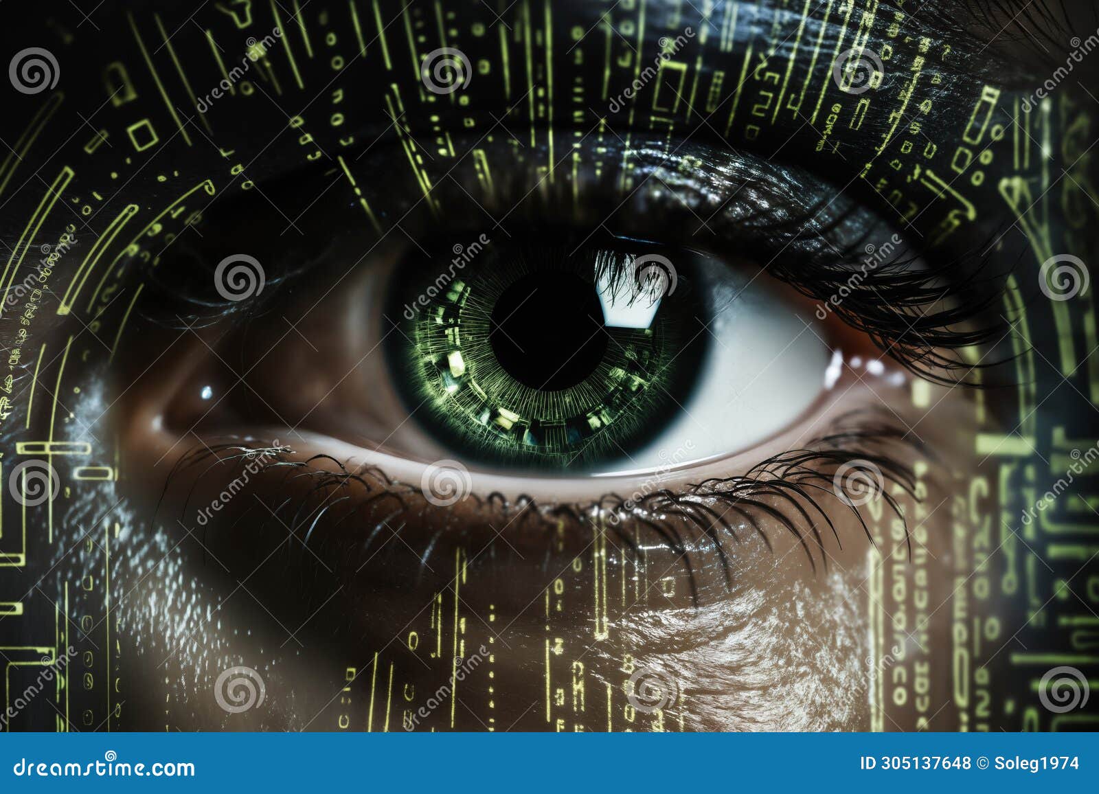 The Human Eye with a Digital Computer Implant, the Concept of Augmented ...