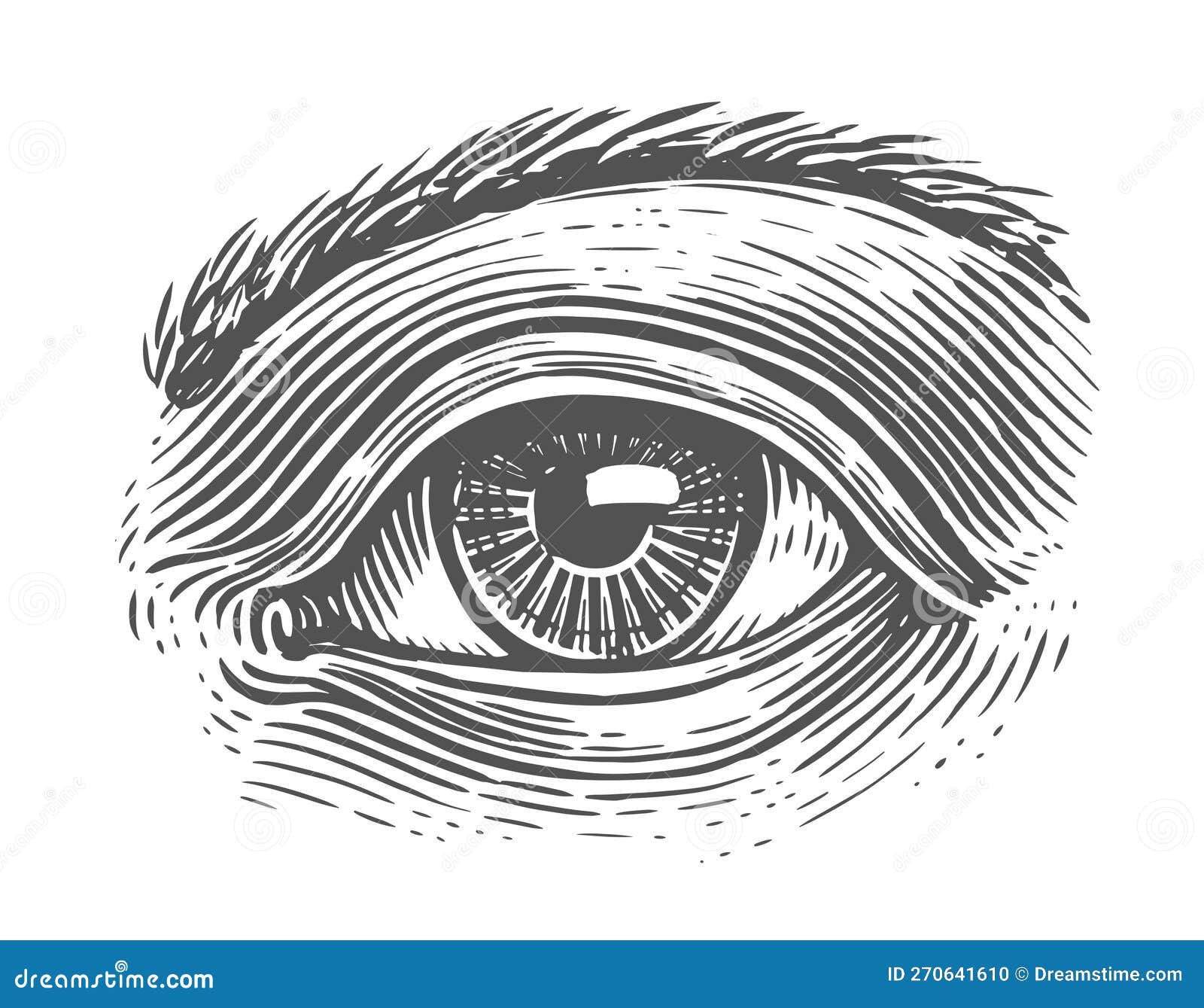 Human Eye in Engraved Style. Hand Drawn Sketch Vector Illustration ...