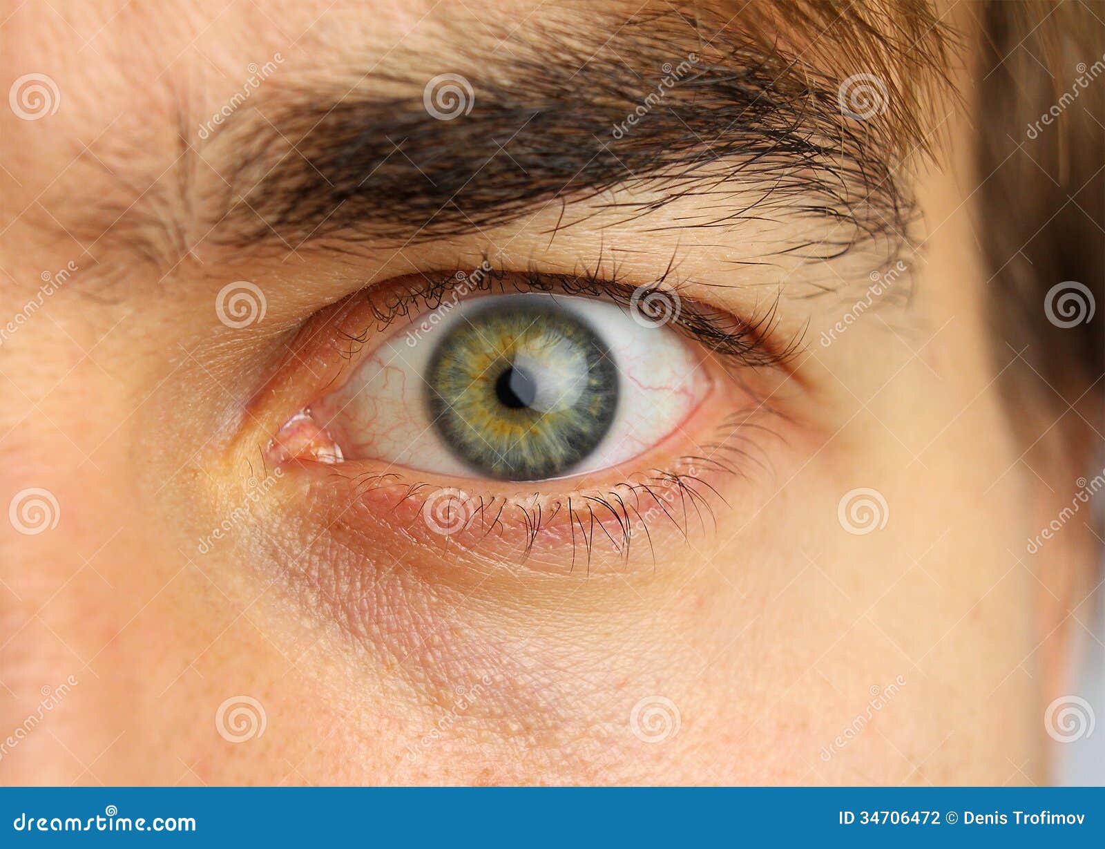 Human Eye and Eyebrow Close-up Stock Photo - Image of beauty, male ...