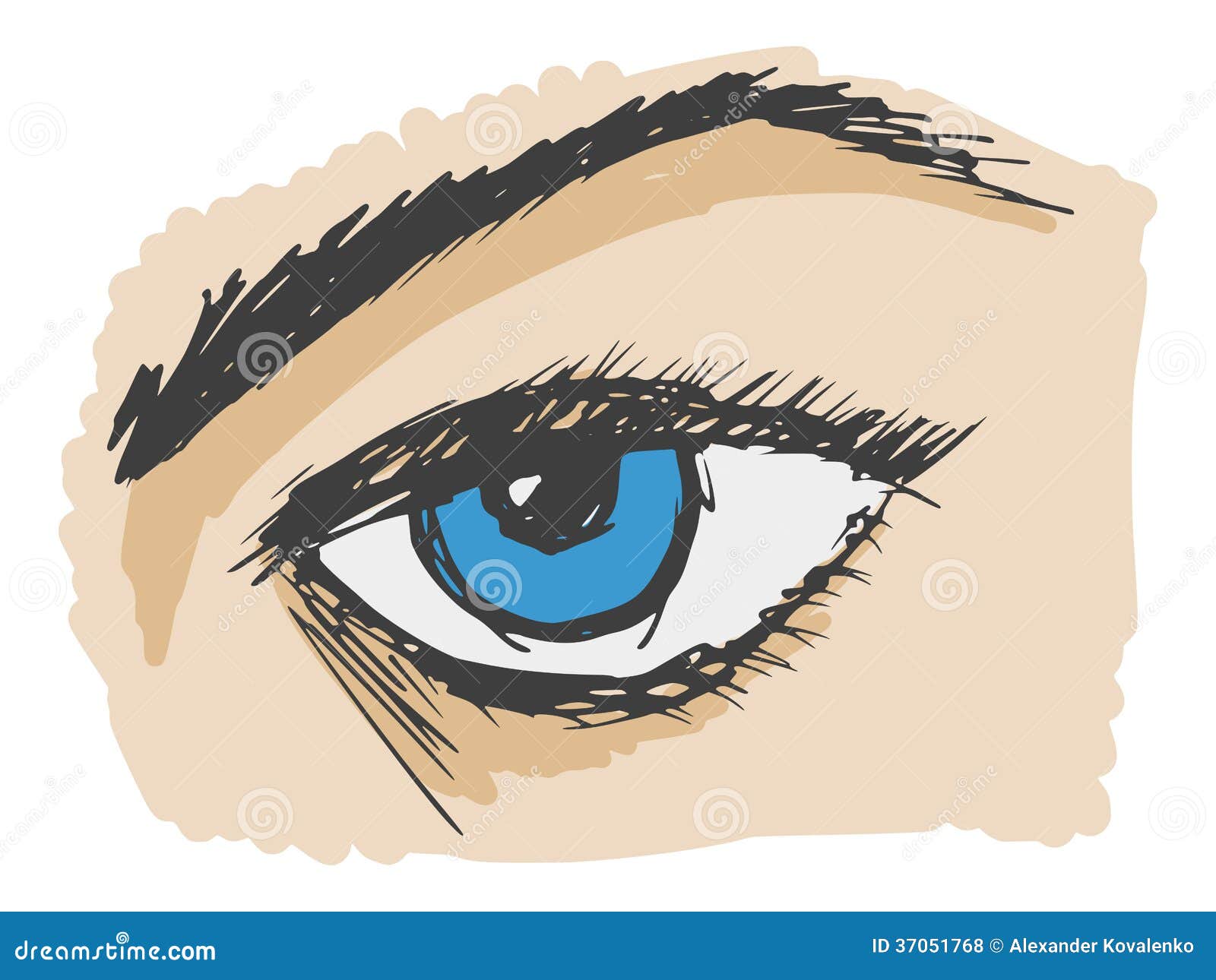 Human eye stock vector. Illustration of health, human - 37051768