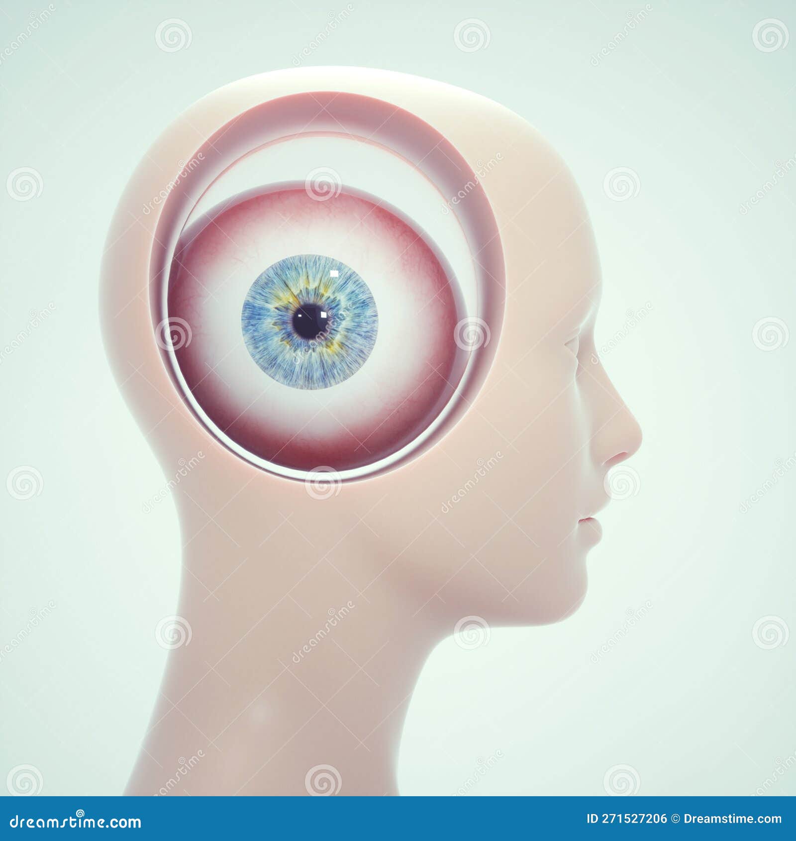 Human Eye in the Head. Vision Concept Stock Illustration - Illustration ...