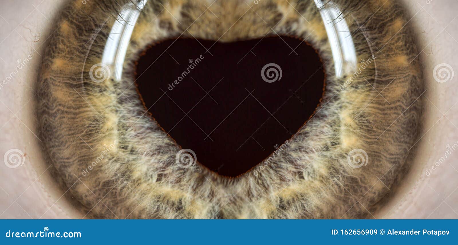 Human Eye with Heart Shape Pupil Stock Image - Image of heart, anatomy ...