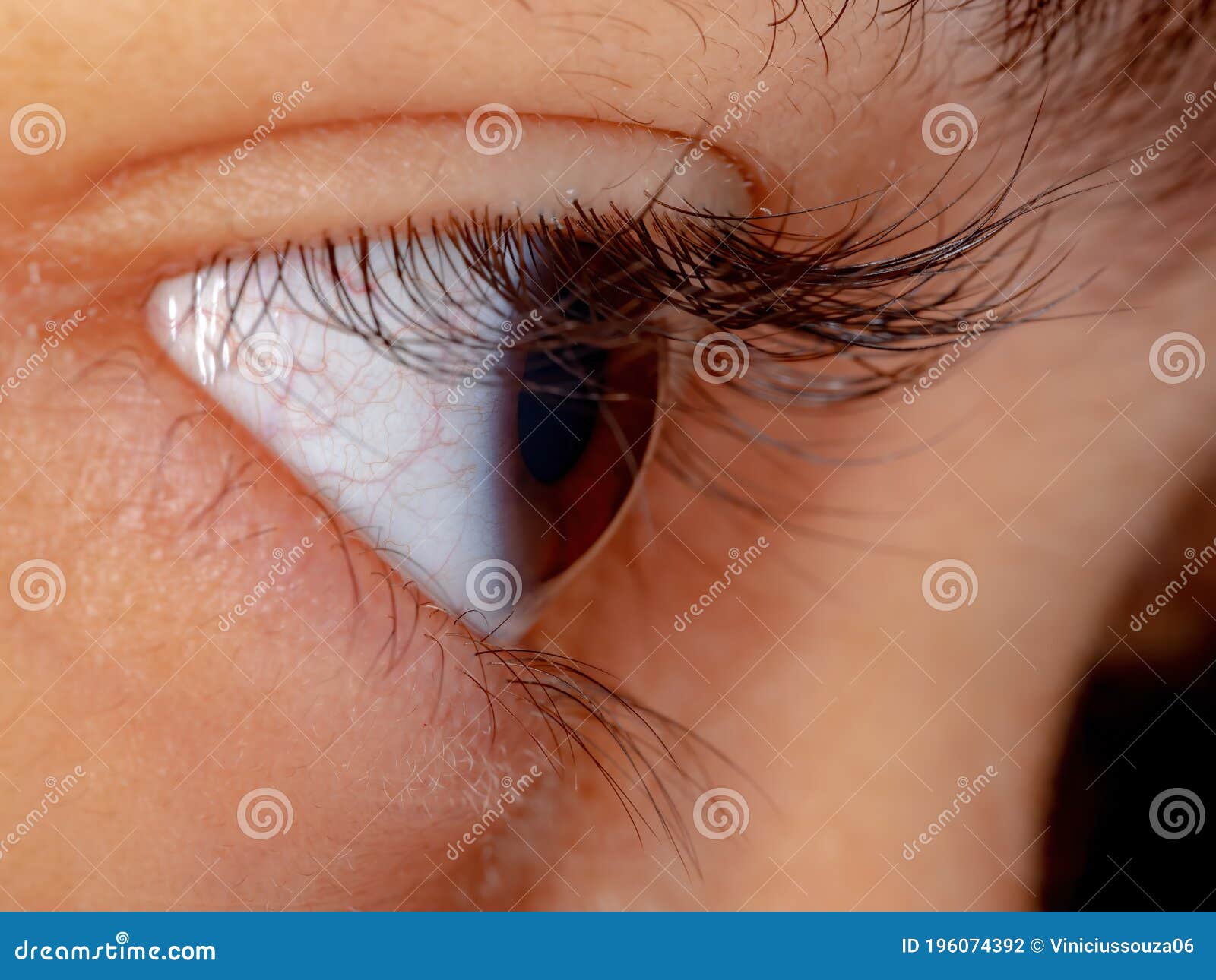 Human eye stock photo. Image of cornea, closeup, healthy - 196074392