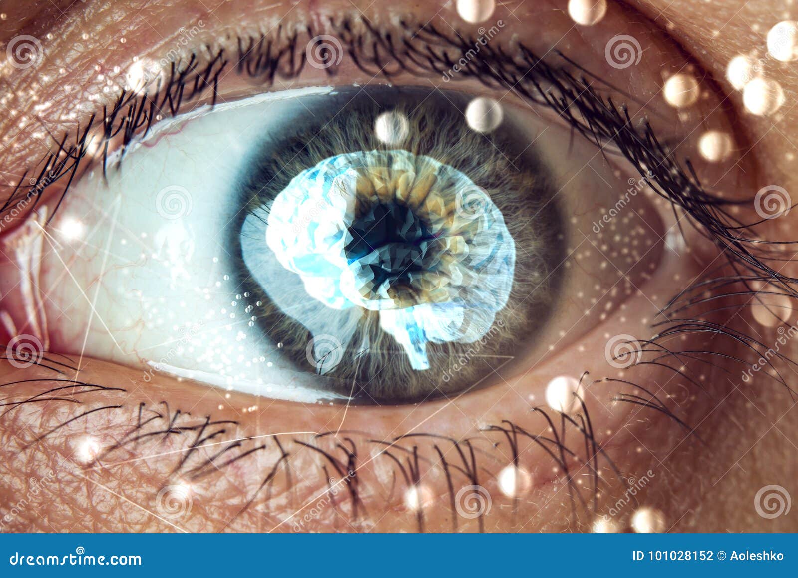 The Human Eye with the Image of the Brain in the Pupil. Concept of ...