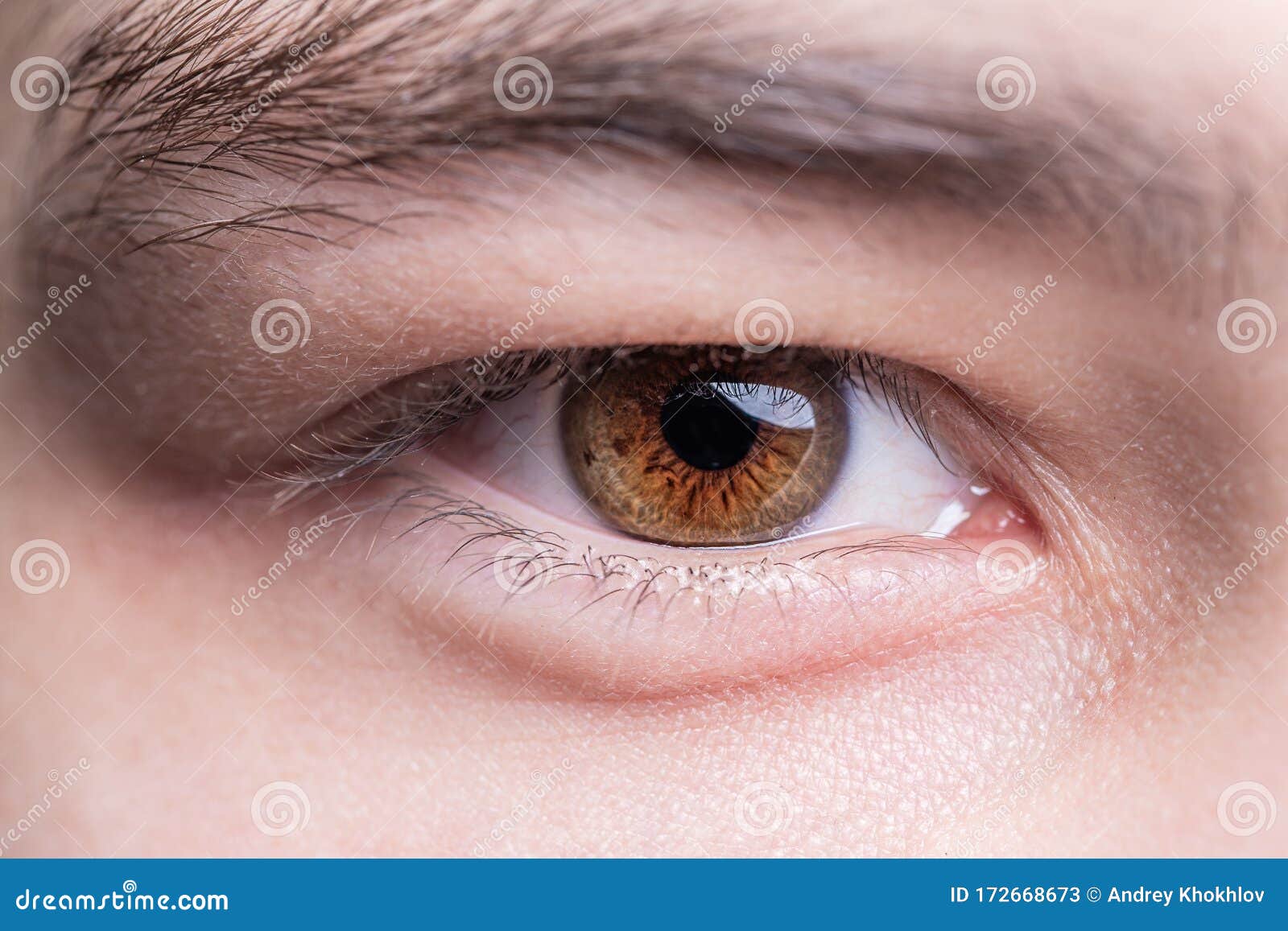 Human eye iris close up stock image. Image of medical - 172668673