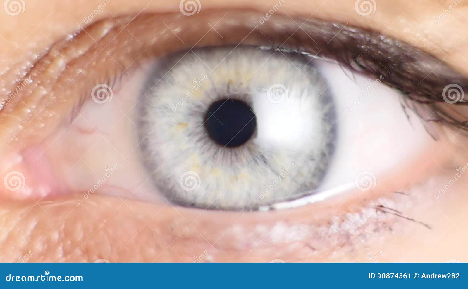 Human Eye Iris Contracting. Extreme Close Up Stock Video - Video of ...