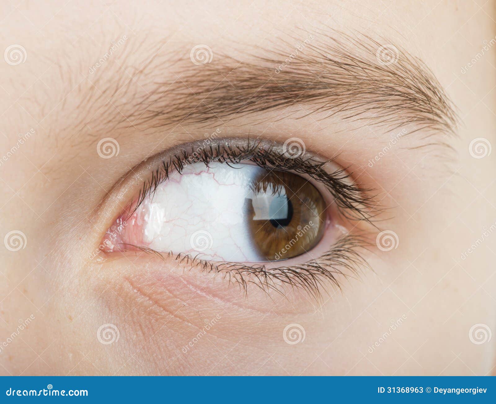 Human Eye Looking To the Right Stock Image - Image of color, eyebrow ...