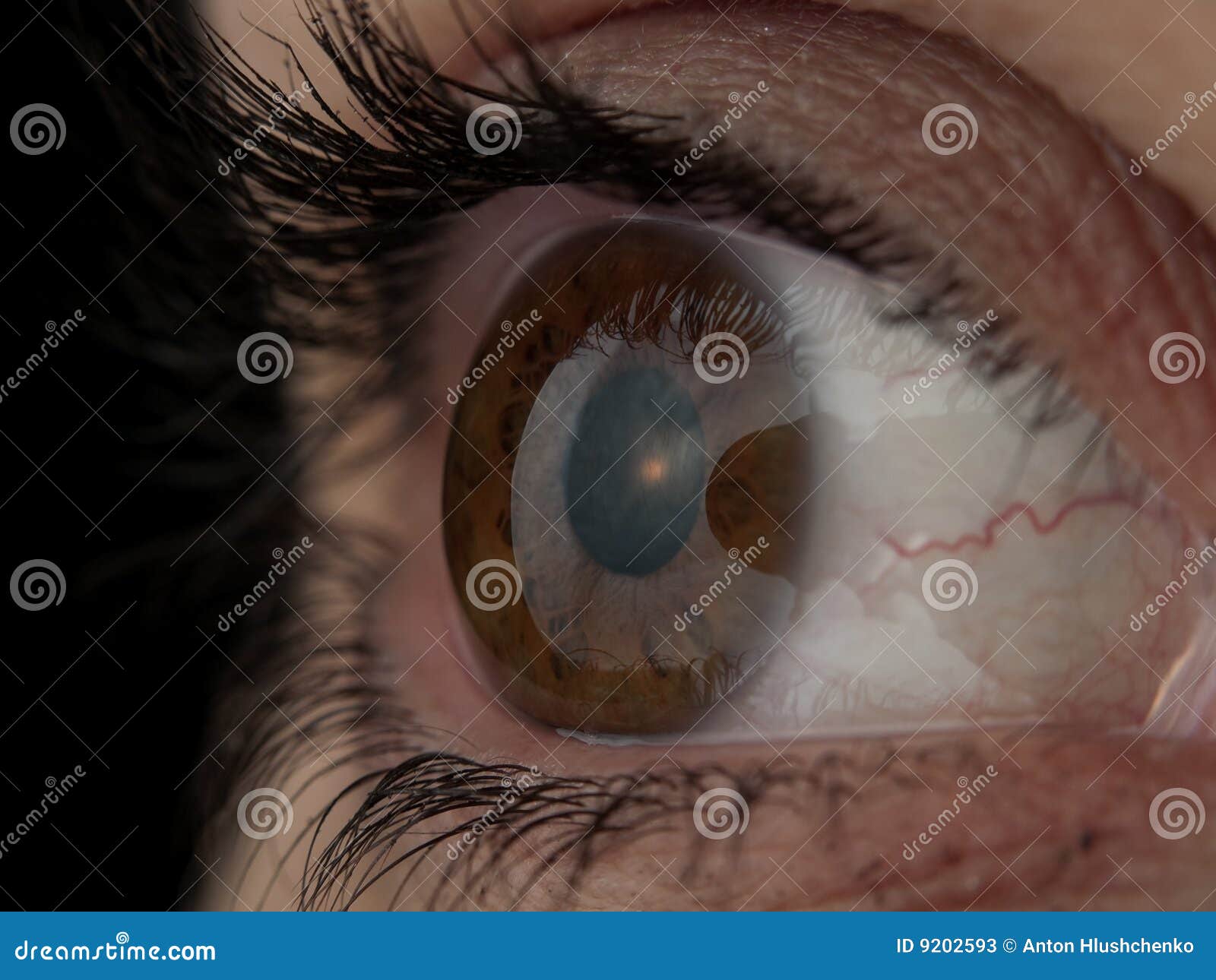 Human Eye Macro stock image. Image of horizontal, closeup - 9202593