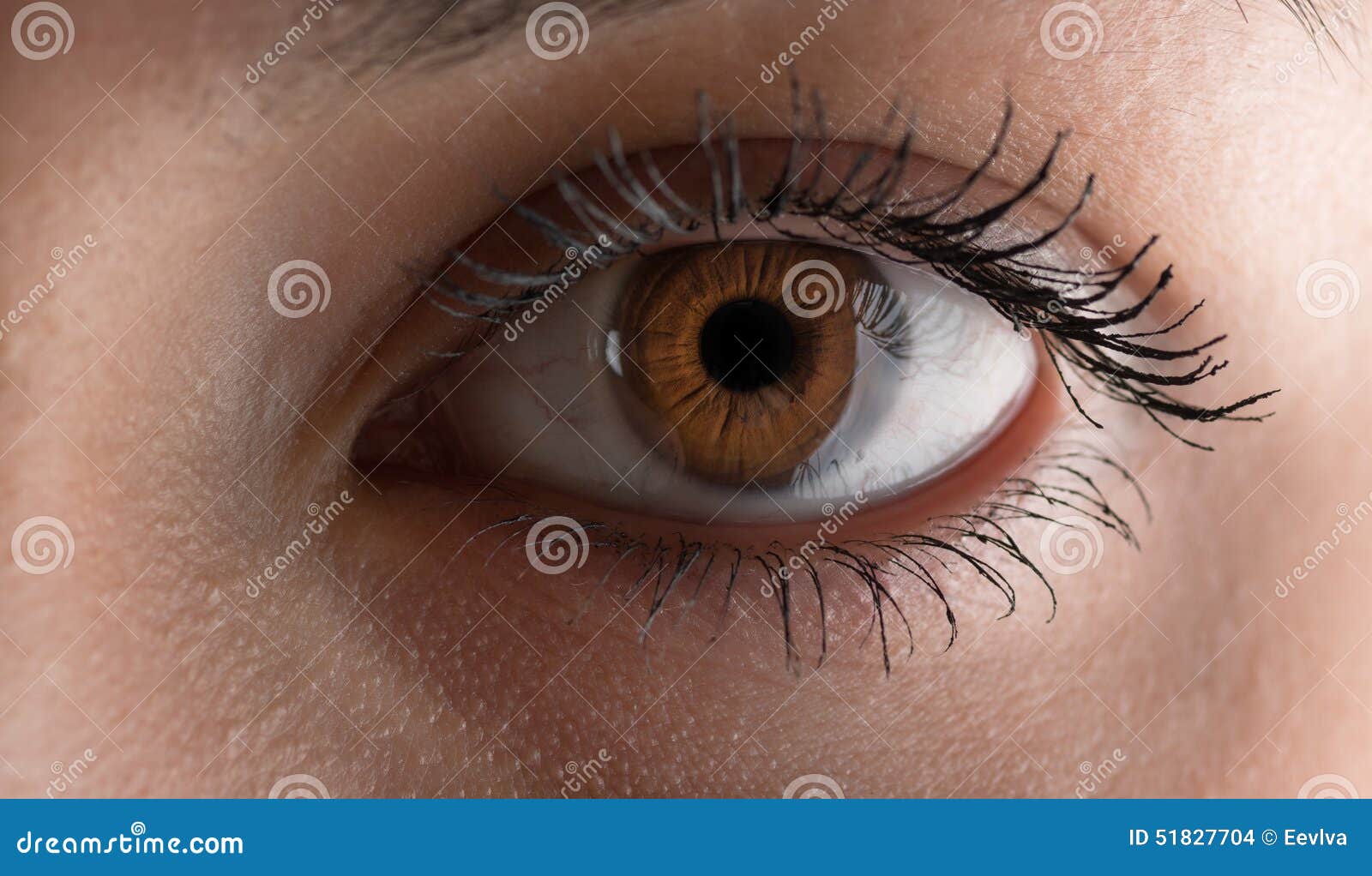 Human eye. Macro. stock photo. Image of backdrops, cornea - 51827704