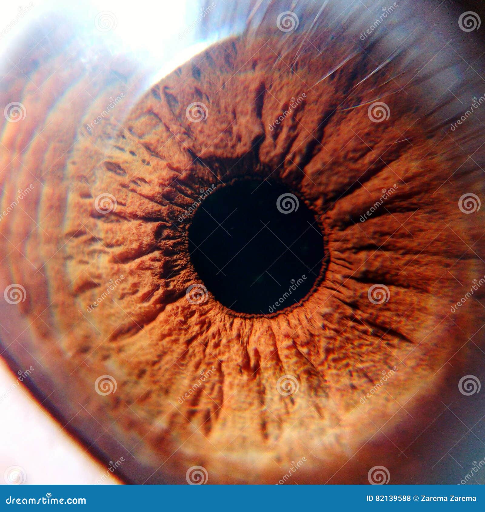 Human eye stock photo. Image of human, macro, closeup - 82139588