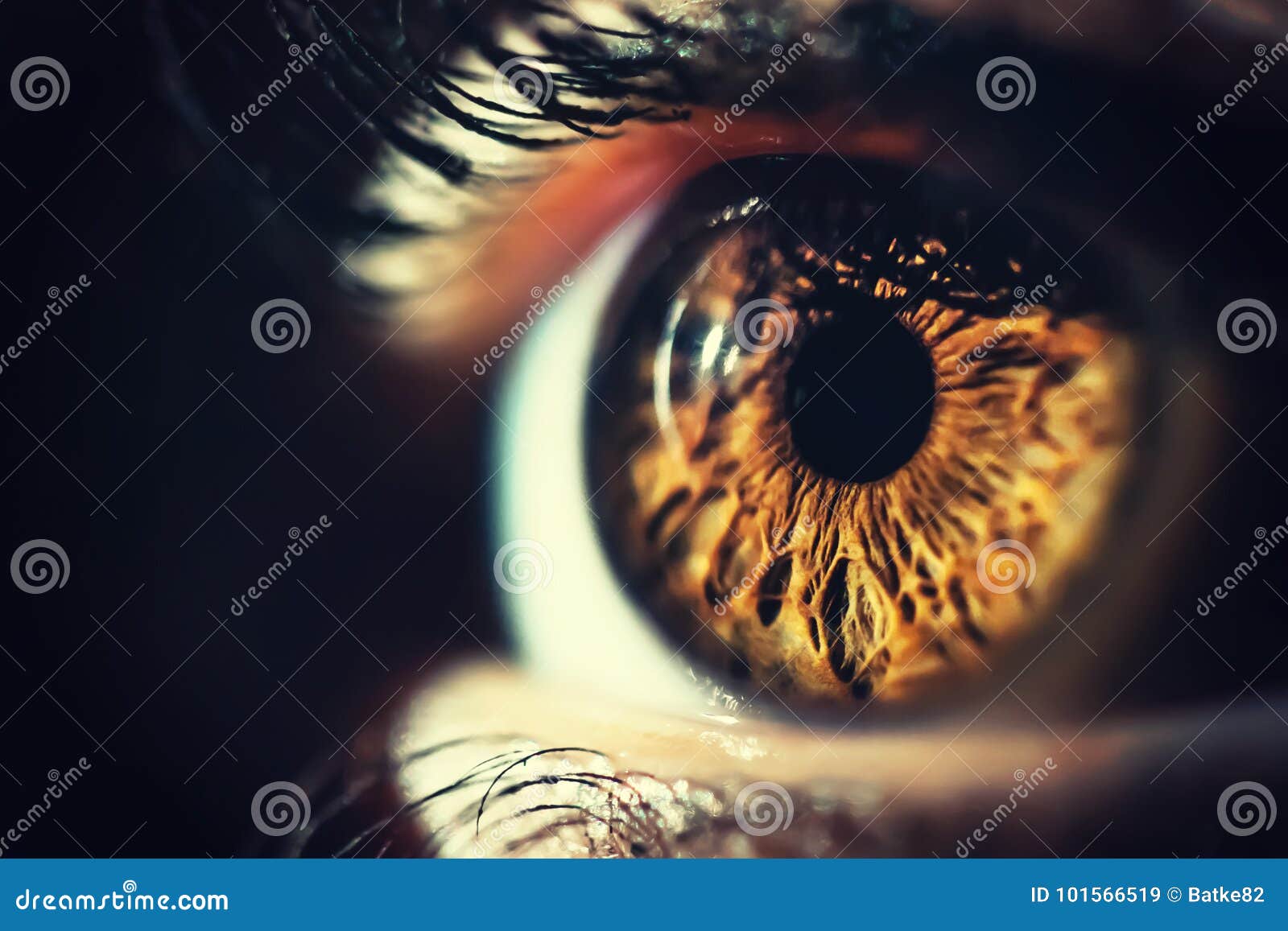 Human eye macro shot stock image. Image of caucasian - 101566519