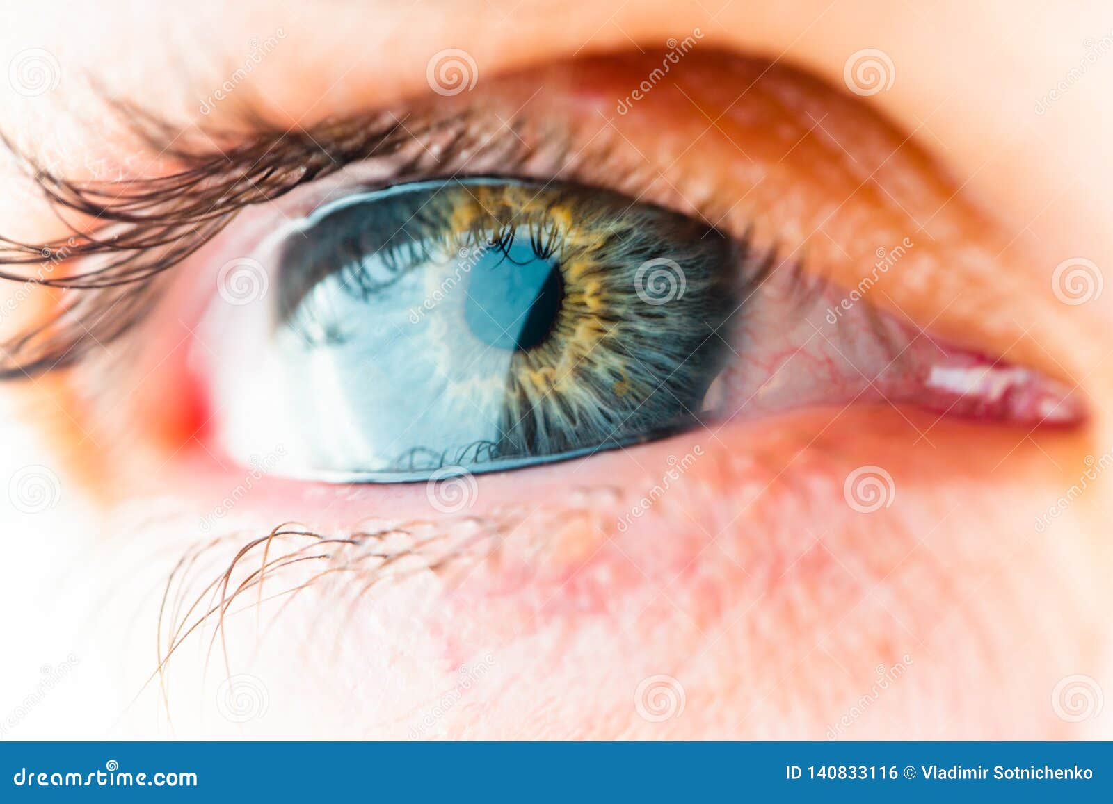 Human Eye Macro View stock photo. Image of macro, lens - 140833116