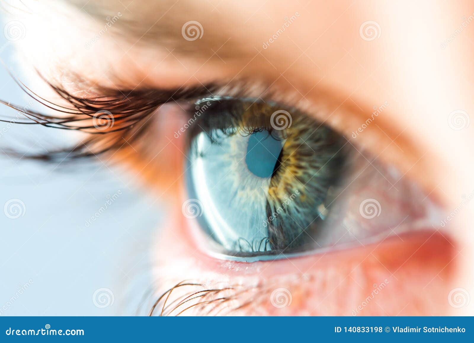 Human Eye Macro View stock photo. Image of iris, hair - 140833198