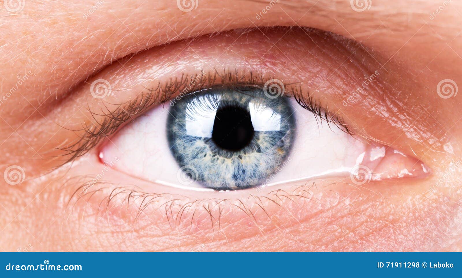 The Human Eye without Makeup Closeup. Stock Photo - Image of model ...