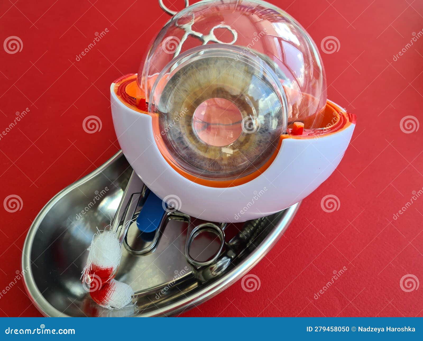 Human Eye Model Operation and Surgery Concept Stock Photo - Image of ...