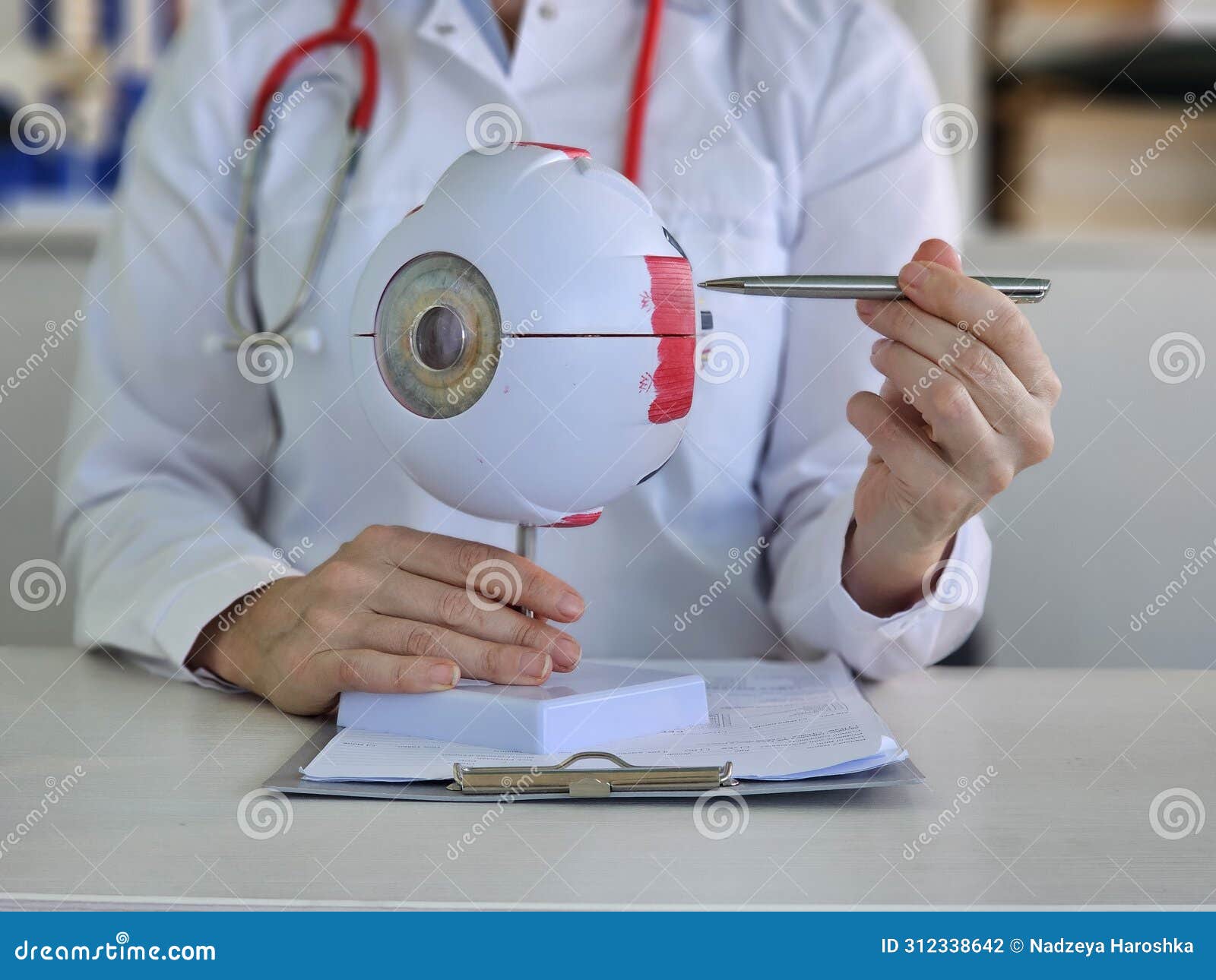 Human Eye Model and Ophthalmologist Stock Photo - Image of hospital ...