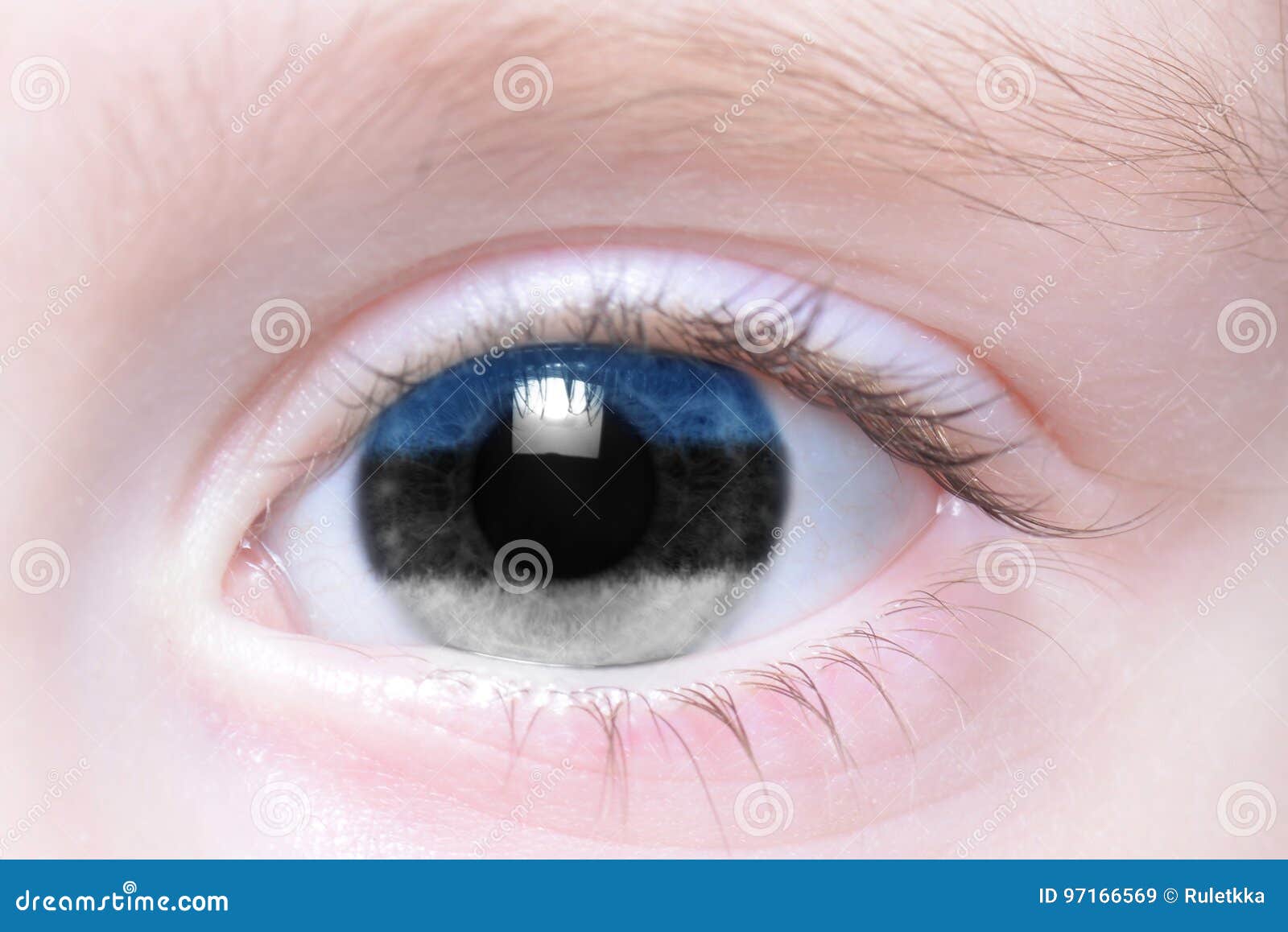 Estonian People Eyes