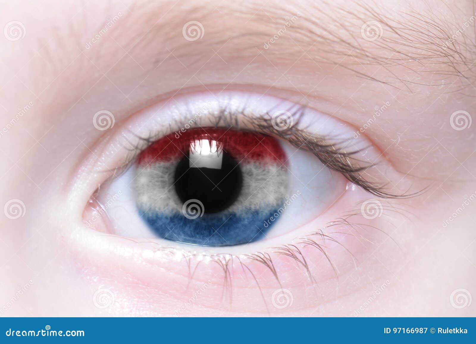 Human Eye with National Flag of Netherlands Stock Image - Image of ...