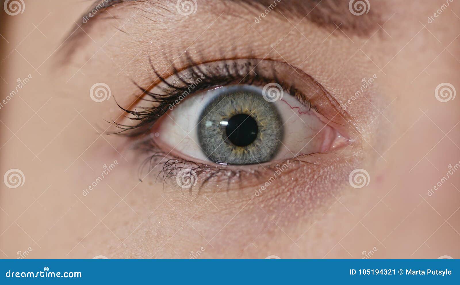 Human Eye with the Pupil Constriction Stock Image - Image of awake ...