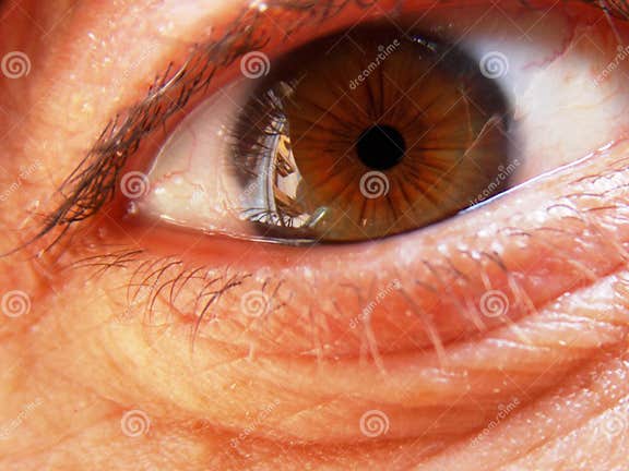 The human eye stock image. Image of nature, human, skin - 120041283