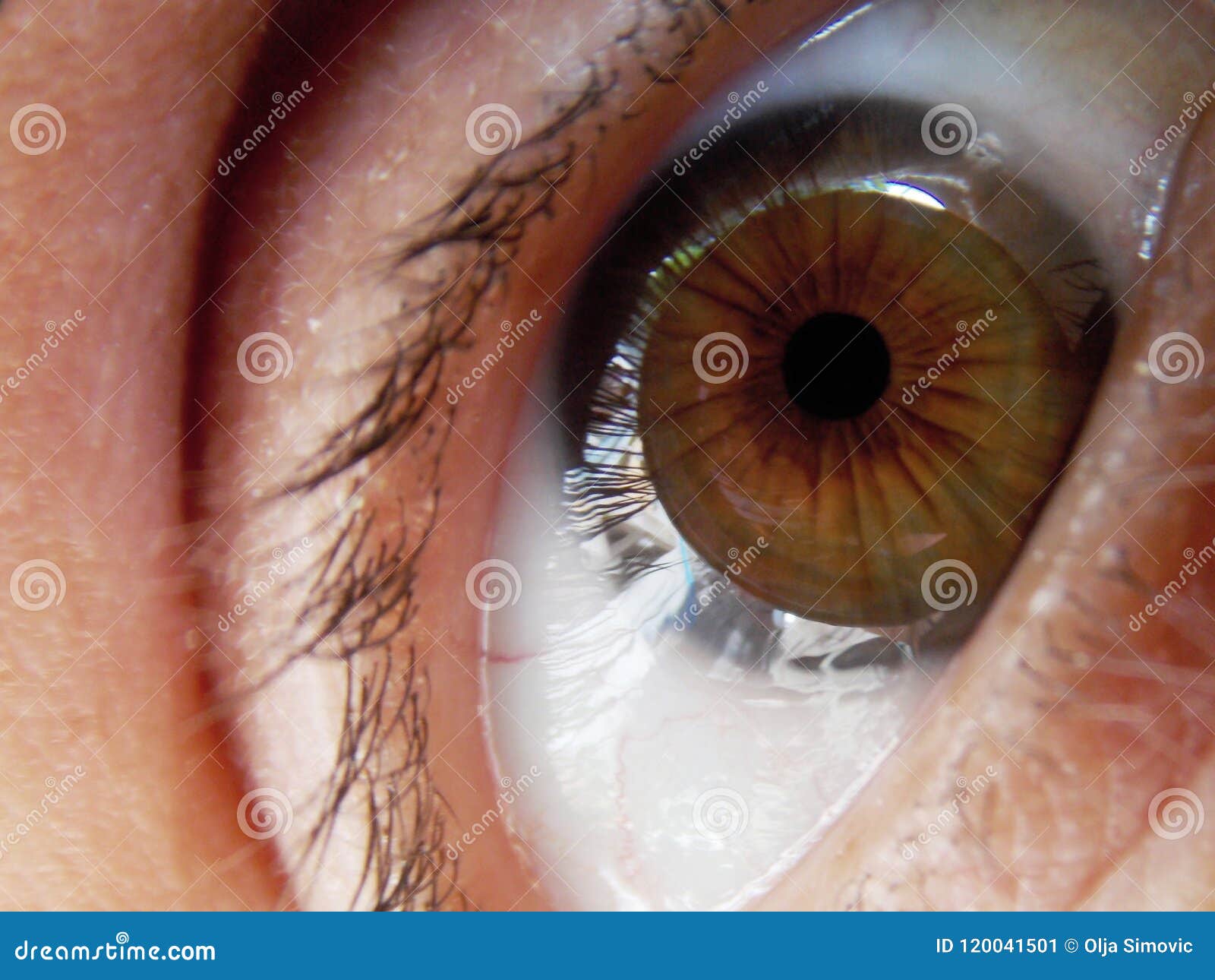 The human eye stock image. Image of macro, eyelashes - 120041501