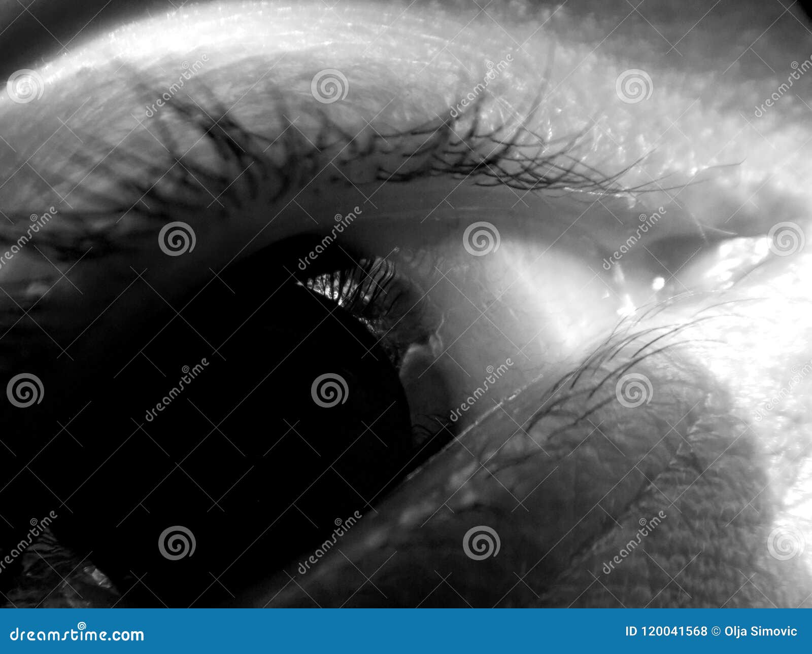The human eye stock photo. Image of light, people, eyelashes - 120041568