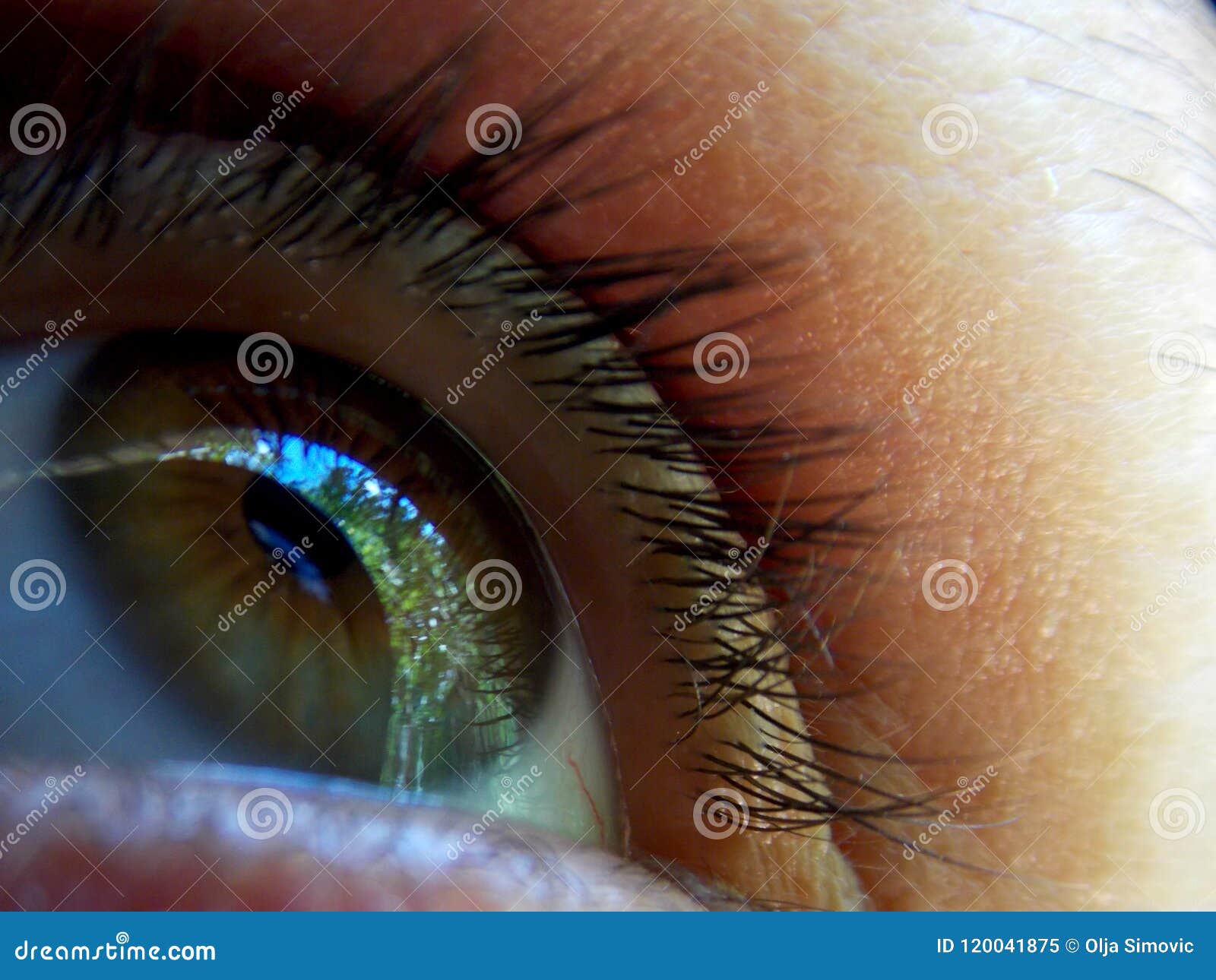The human eye stock image. Image of color, macro, skin - 120041875