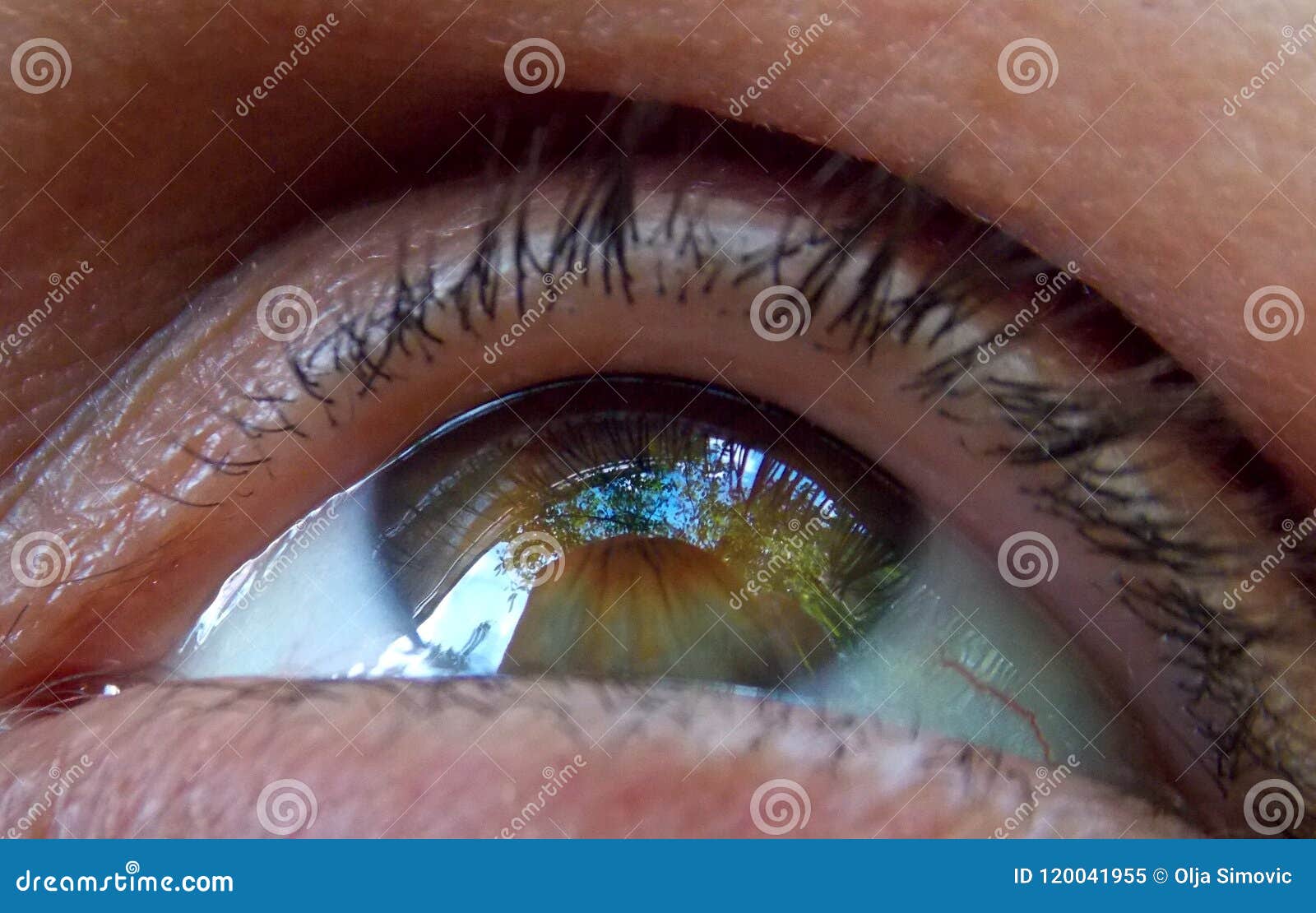 The human eye stock image. Image of macro, reflection - 120041955