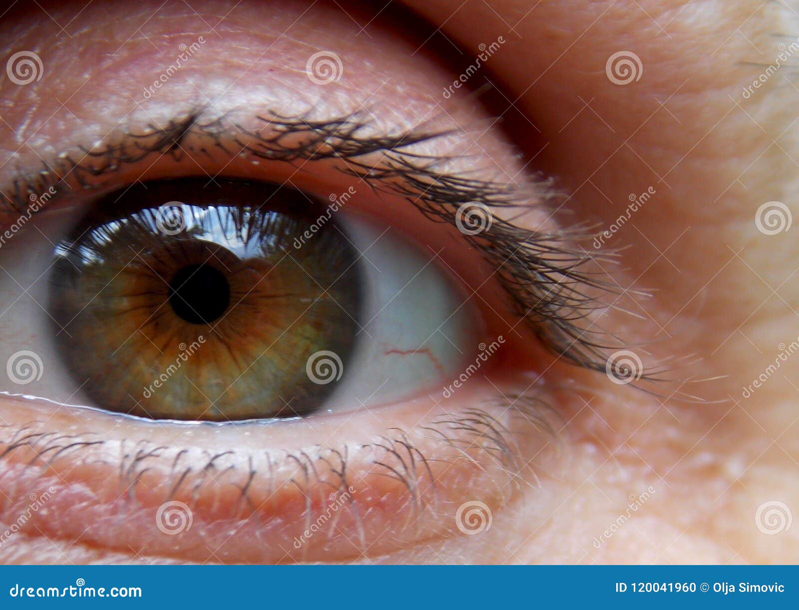 The human eye stock photo. Image of little, skin, reflection - 120041960