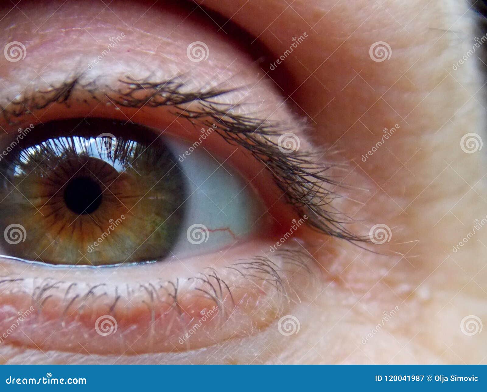 The human eye stock image. Image of reflection, color - 120041987