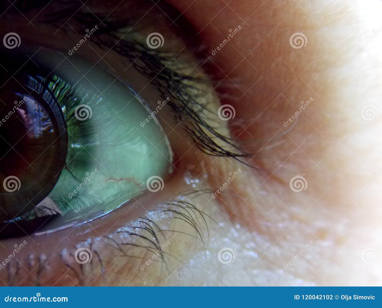 The human eye stock photo. Image of color, macro, reflection - 120042102