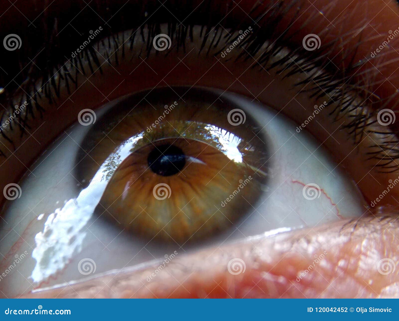 The human eye stock photo. Image of skin, reflection - 120042452