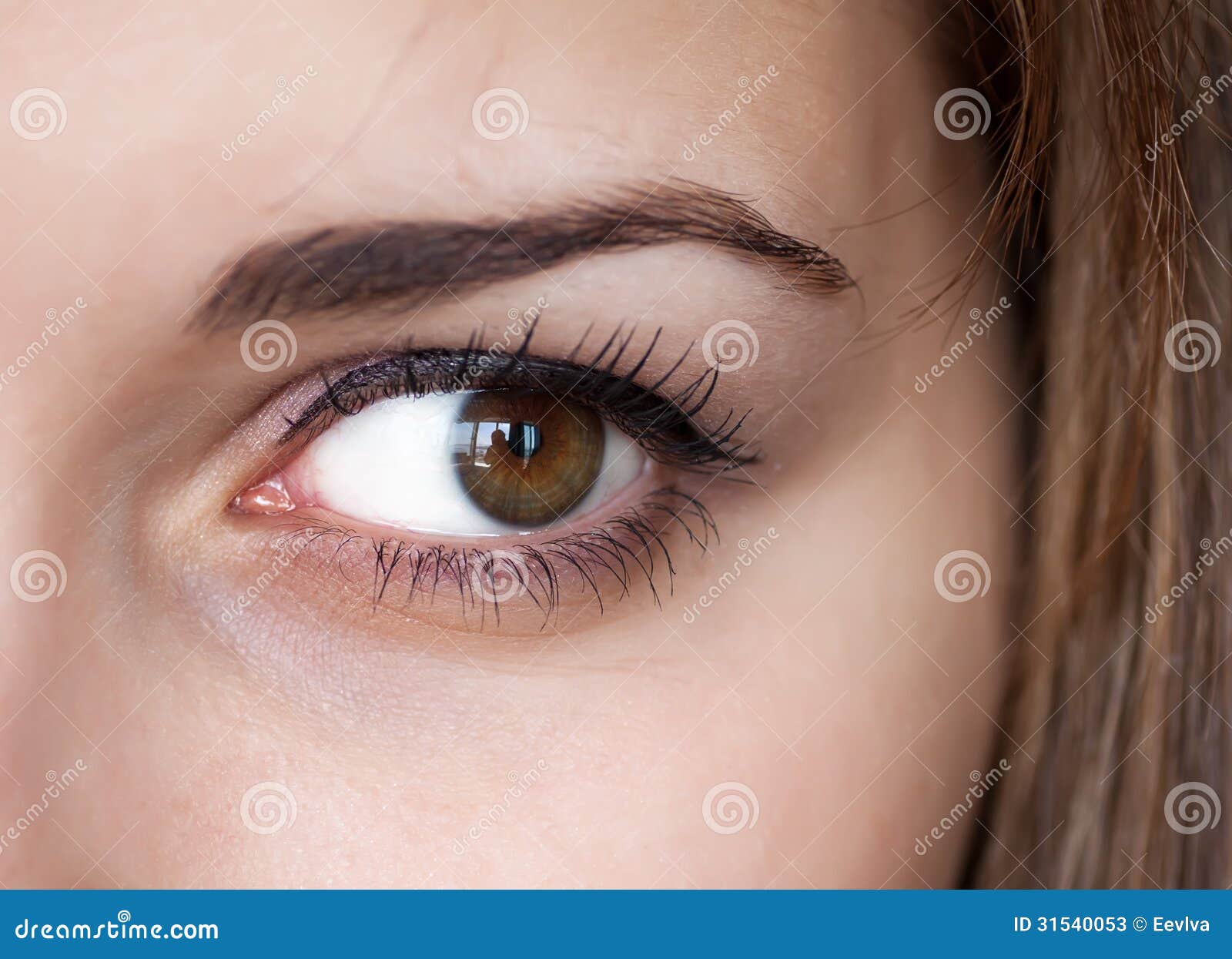 Human eye. stock image. Image of light, glamor, elements - 31540053