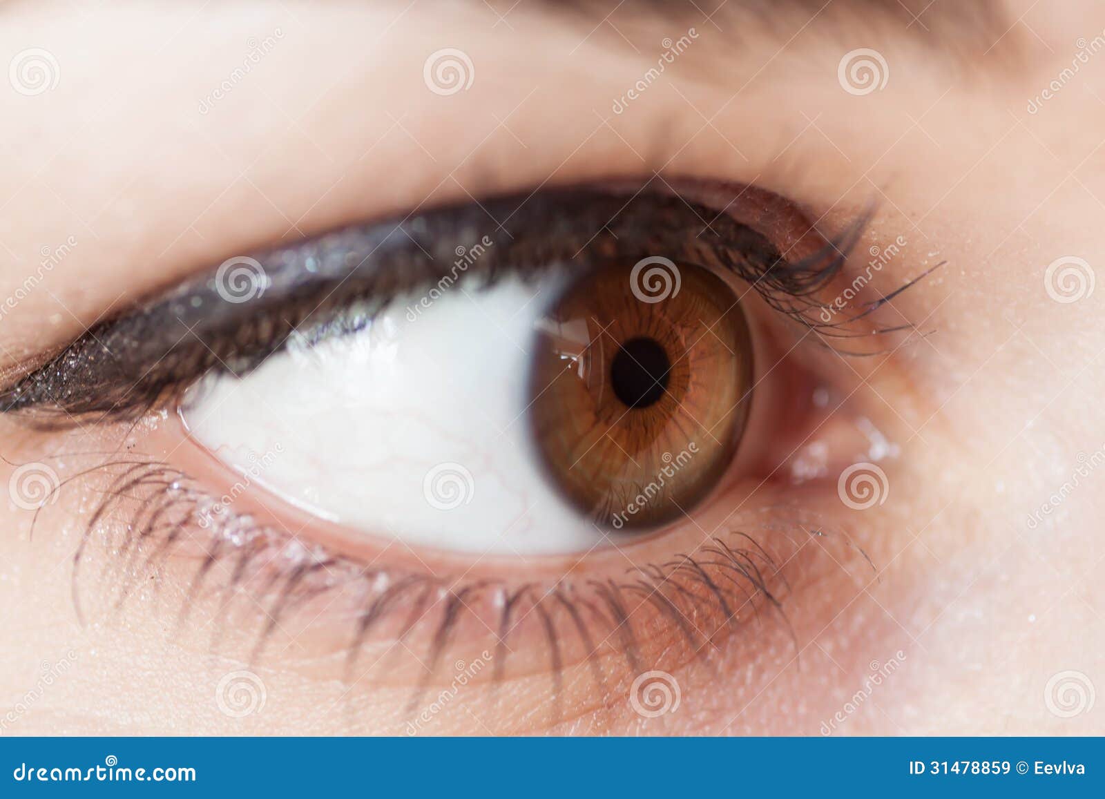 Human eye. stock image. Image of eyelid, backdrops, human - 31478859