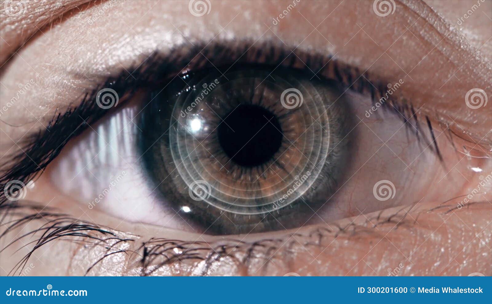 Human Eye Scan Technology Interface Animation. Close-up of High Tech ...