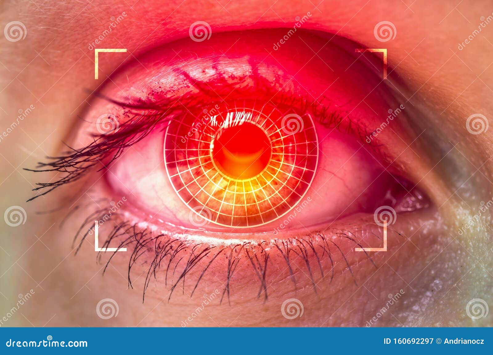 Eye Scanning and Recognition - Biometric Identification Concept Stock ...