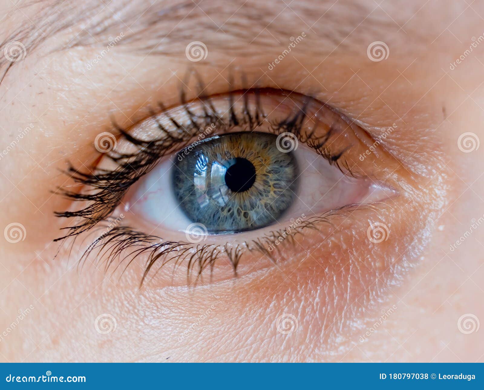 Human Eye Super Macro Closeup Background. Stock Photo - Image of focus ...
