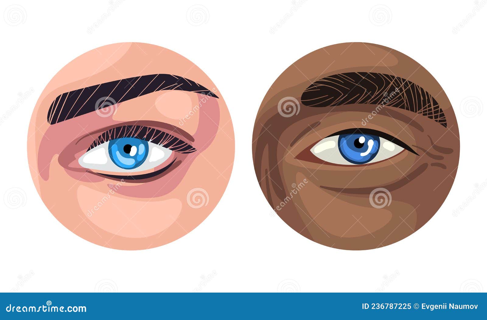 Human Eye of Various Color with Brow Curve and Skin Circle View Vector ...