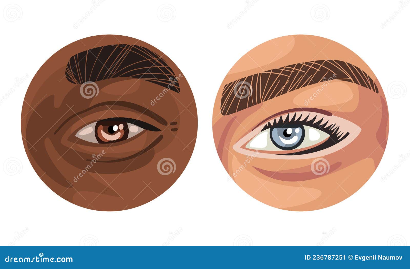 Human Eye of Various Color with Brow Curve and Skin Circle View Vector ...
