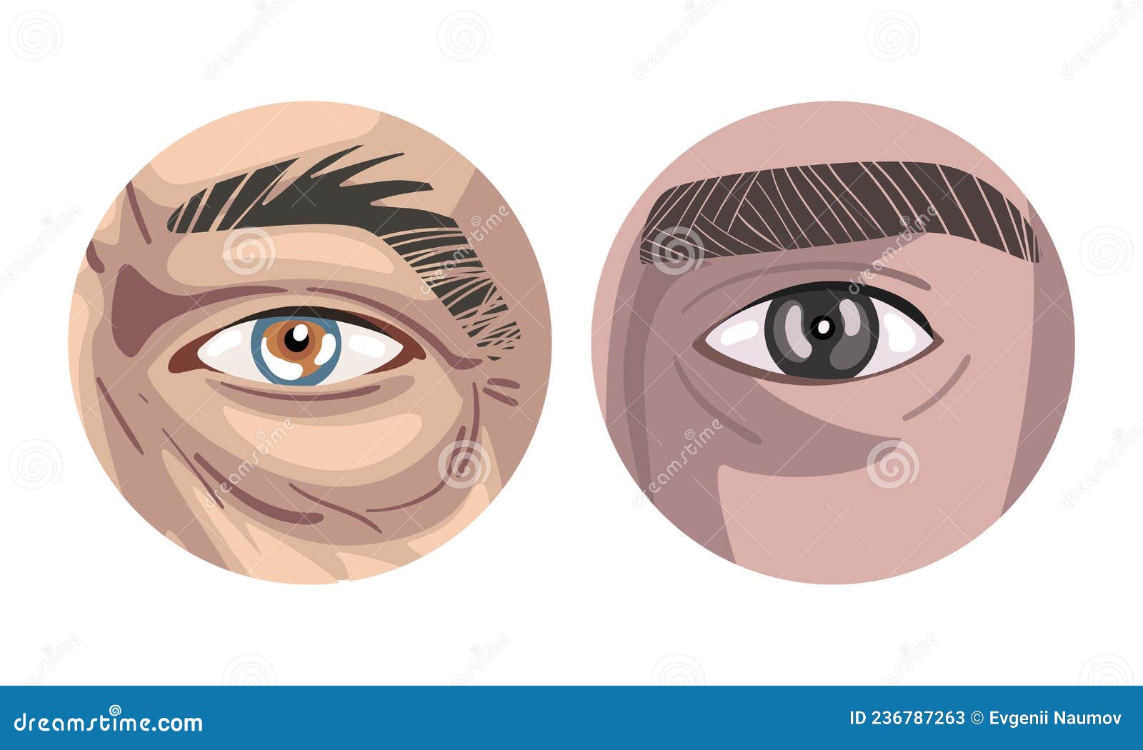 Human Eye of Various Color with Brow Curve and Skin Circle View Vector ...